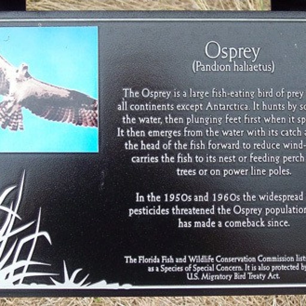 etched-zinc-interpretive-sign - Site Essentials